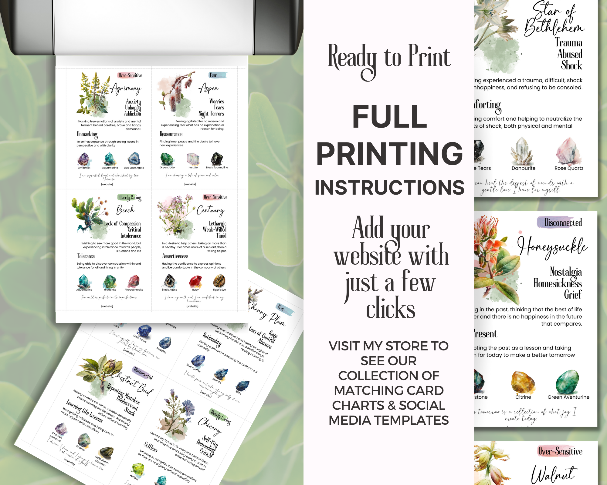 Bach Flower Cards with Crystals, Bach Remedy Healing Cards – Inspired ...