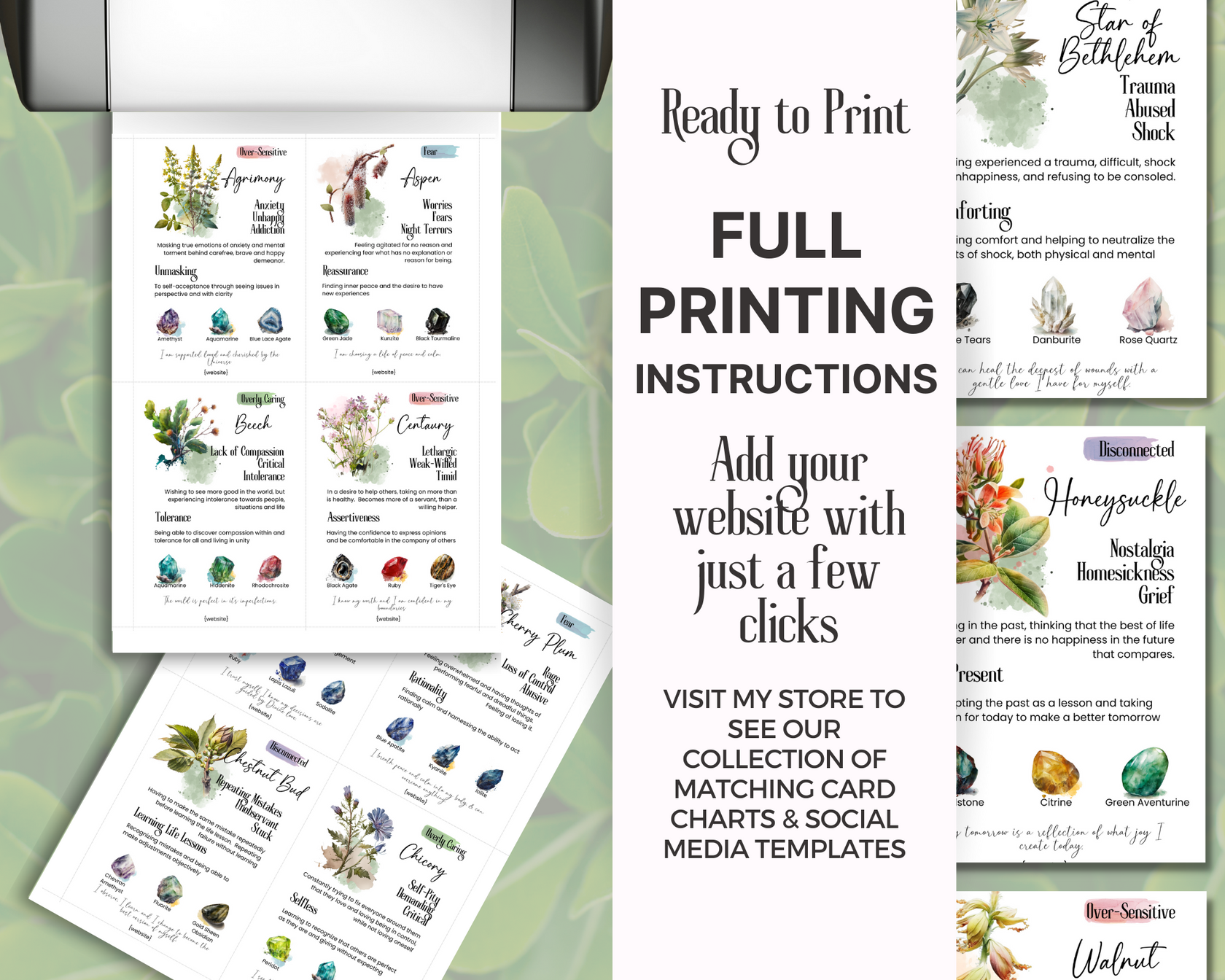 Bach Flower Cards with Crystals, Bach Remedy Healing Cards – Inspired ...