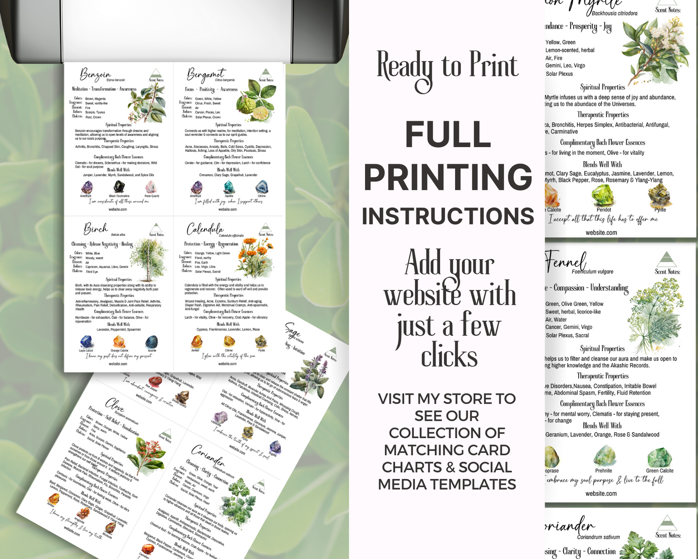 62 Essential Oil Cards - Printable Aromatherapy Card Collection - Digi ...
