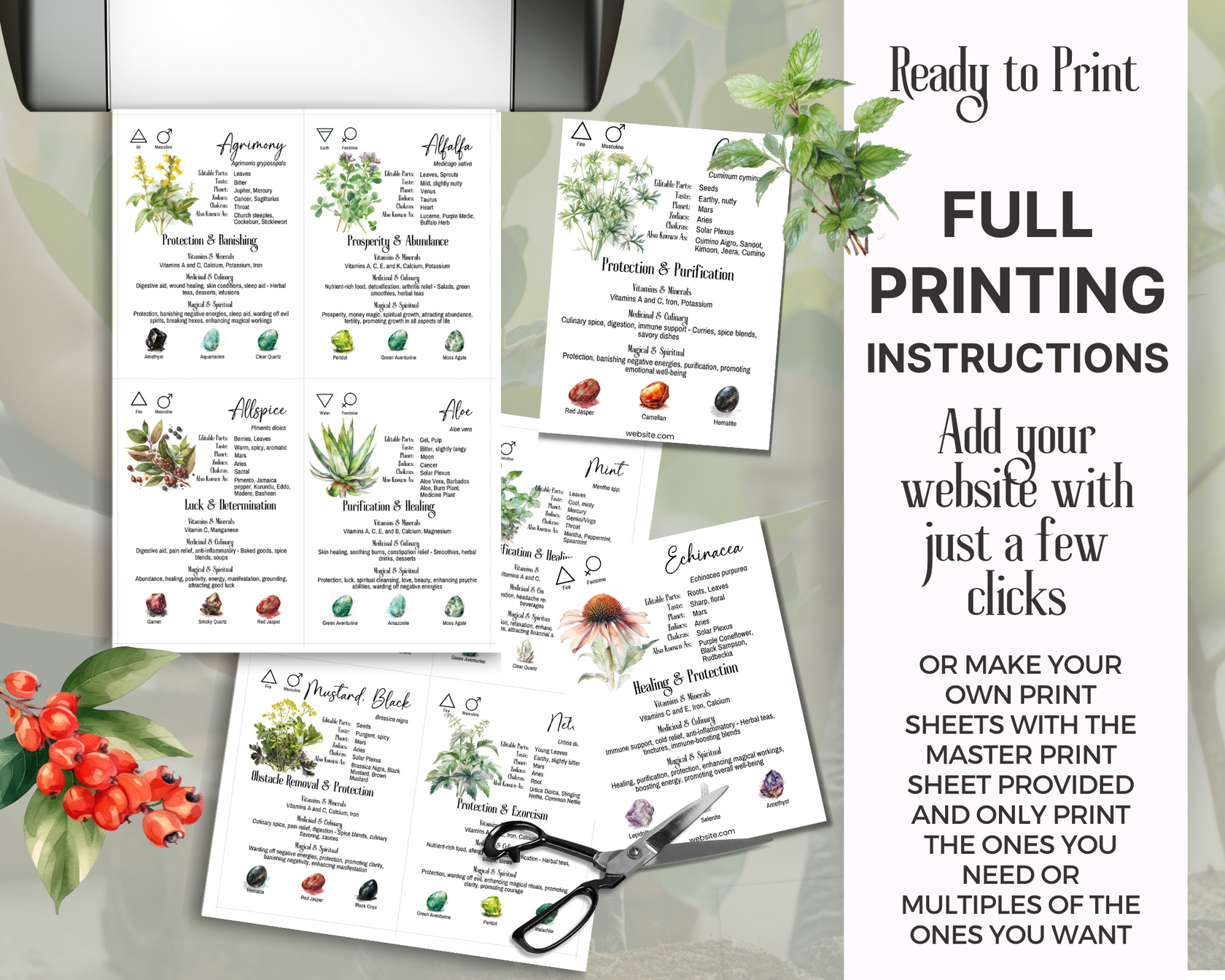 100 Herb & Spice Crystal Cards, Apothecary Herb Meaning Cards ...