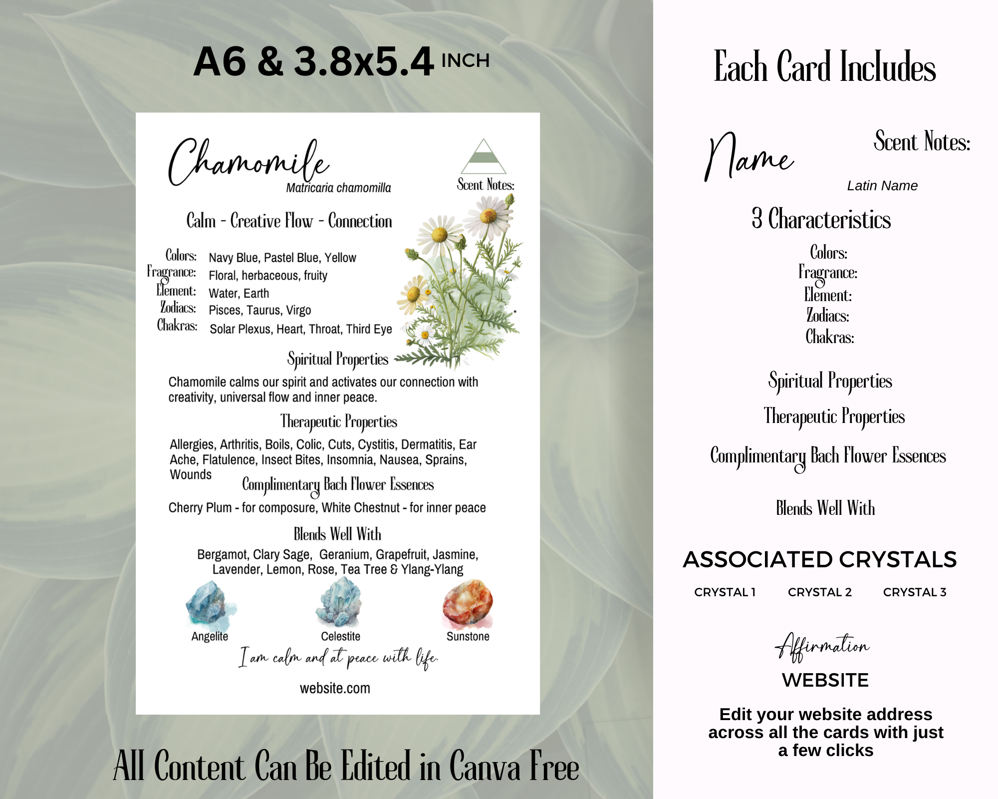 62 Essential Oil Cards - Printable Aromatherapy Card Collection - Digi ...