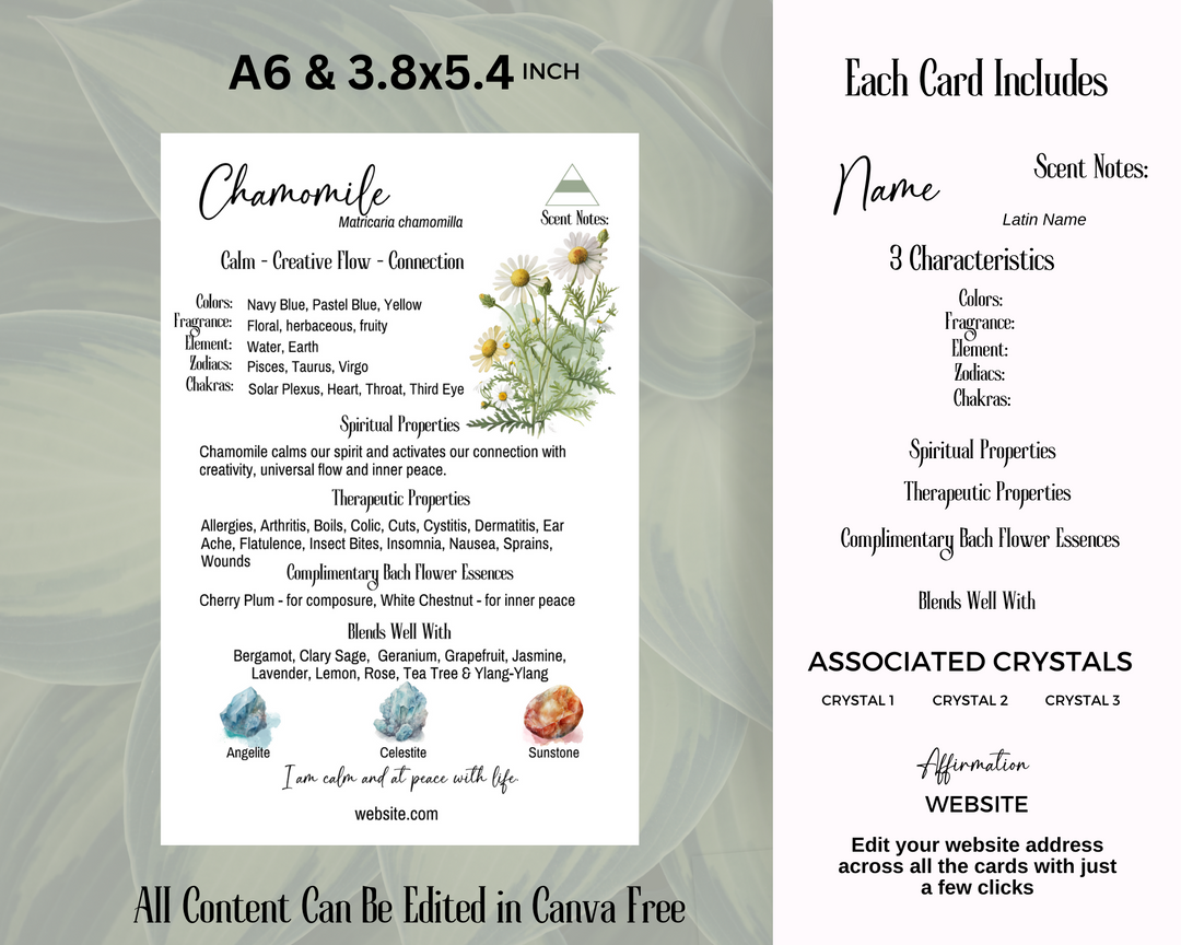 62 Essential Oil Cards - Printable Aromatherapy Card Collection - Digi ...